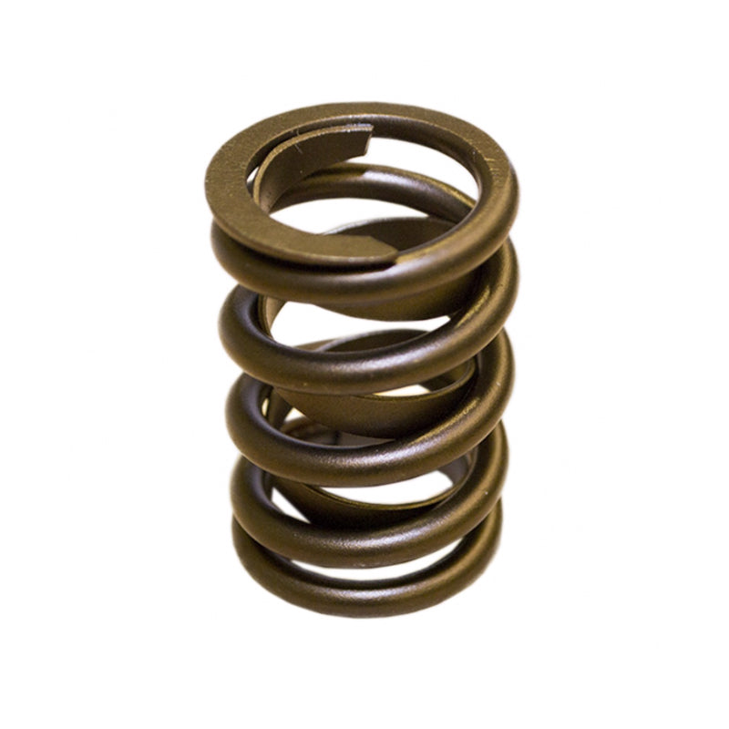 PAC RACING SPRINGS 1.540 Valve Spring Set Hot Rod Series w/Damper PAC ...