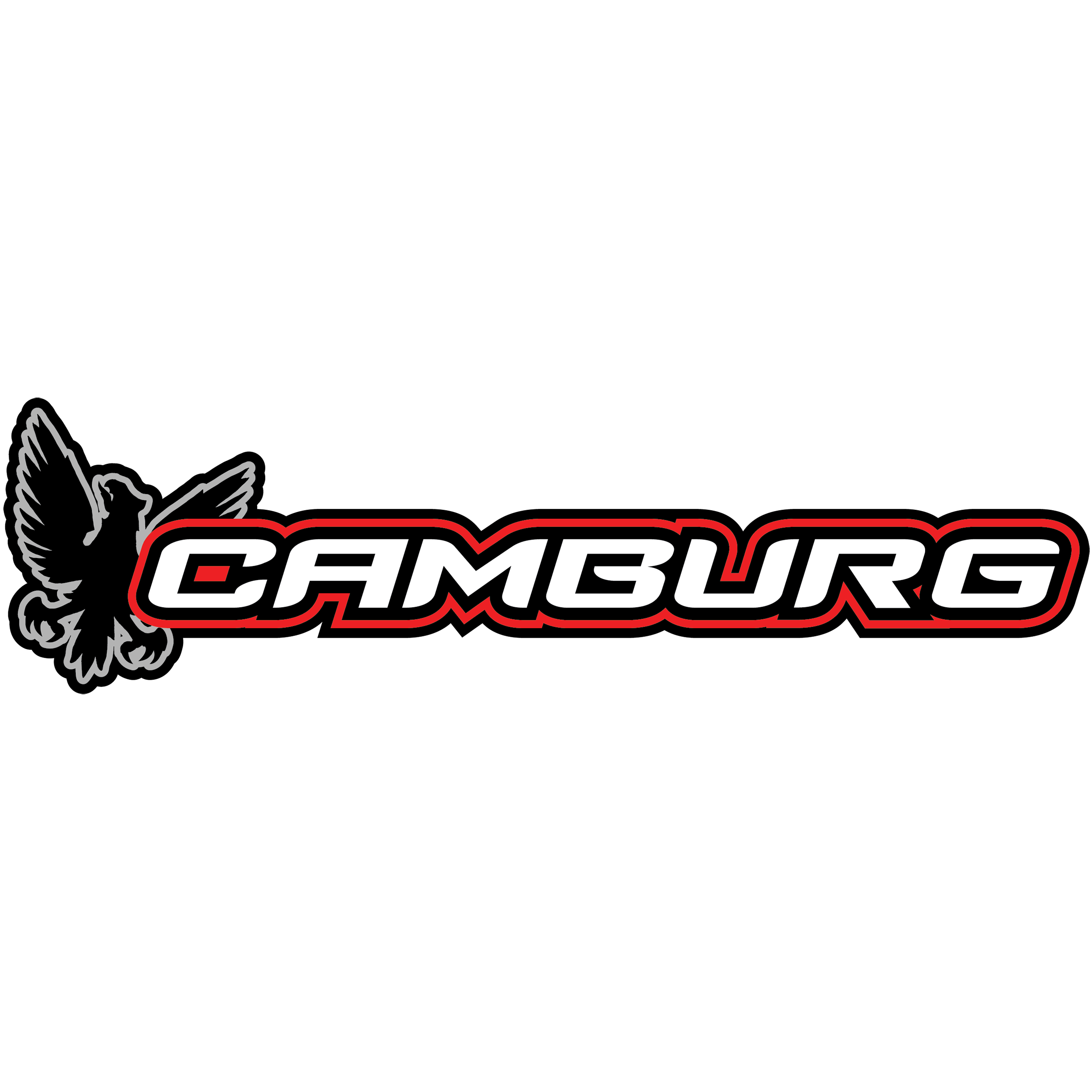 Camburg Long Travel Kit CAM-310013 – Milky Motorsports